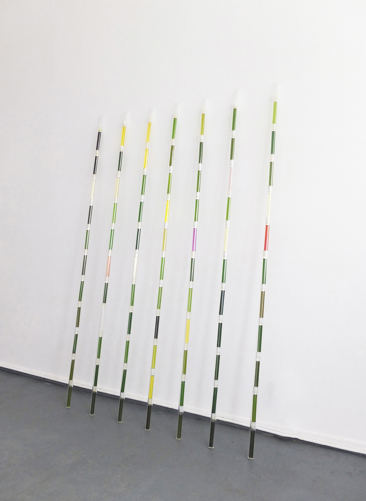 Sanne Vaassen - Unfair